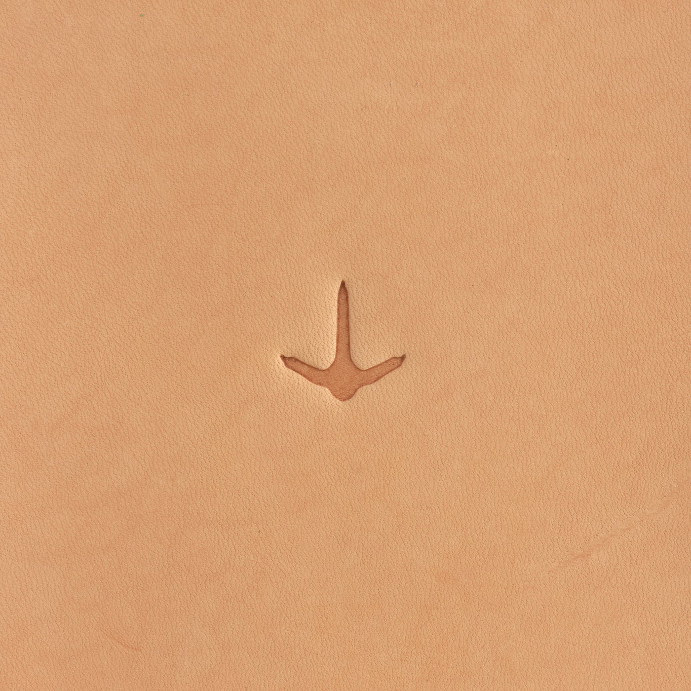 Craftool® Animal Track Stamp — Tandy Leather Europe