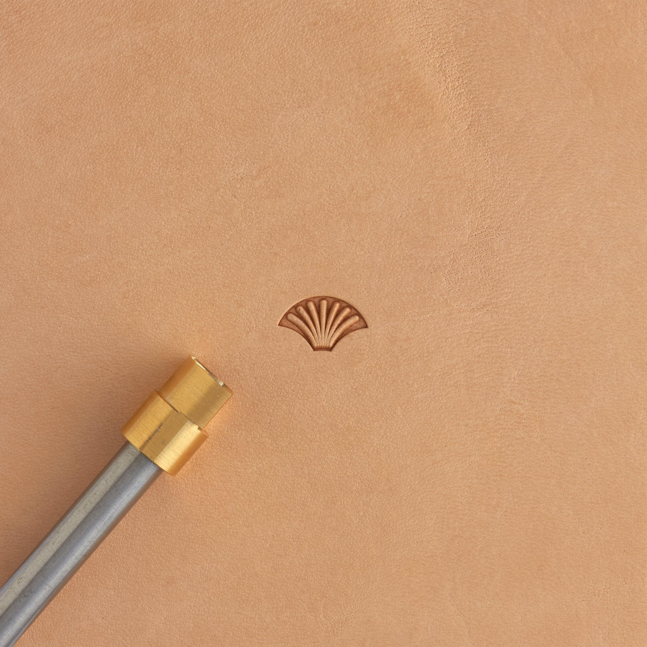 Lined Shell Brass Stamp — Tandy Leather Europe