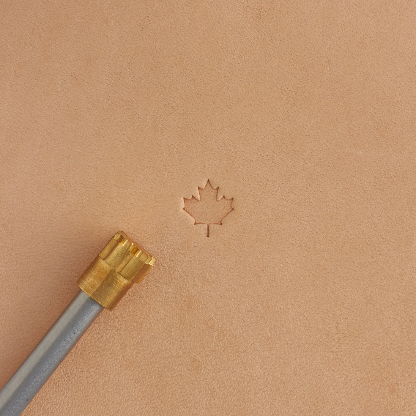 Maple Leaf Brass Stamp — Tandy Leather Europe