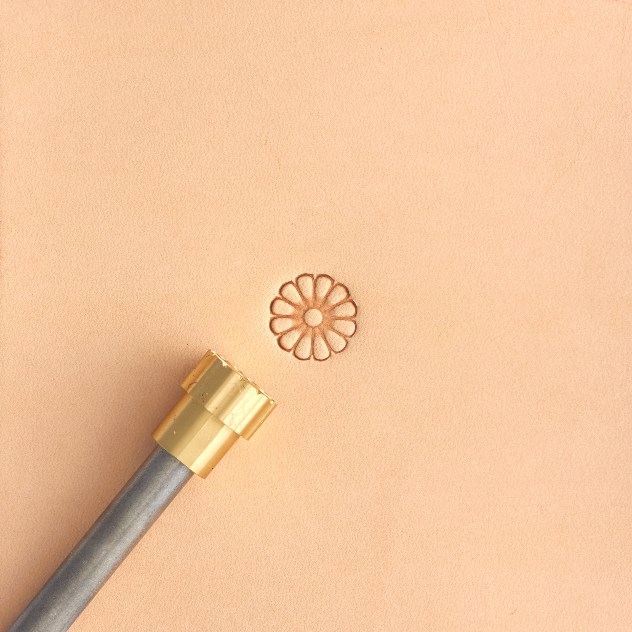 Daisy Brass Stamp — Tandy Leather Europe