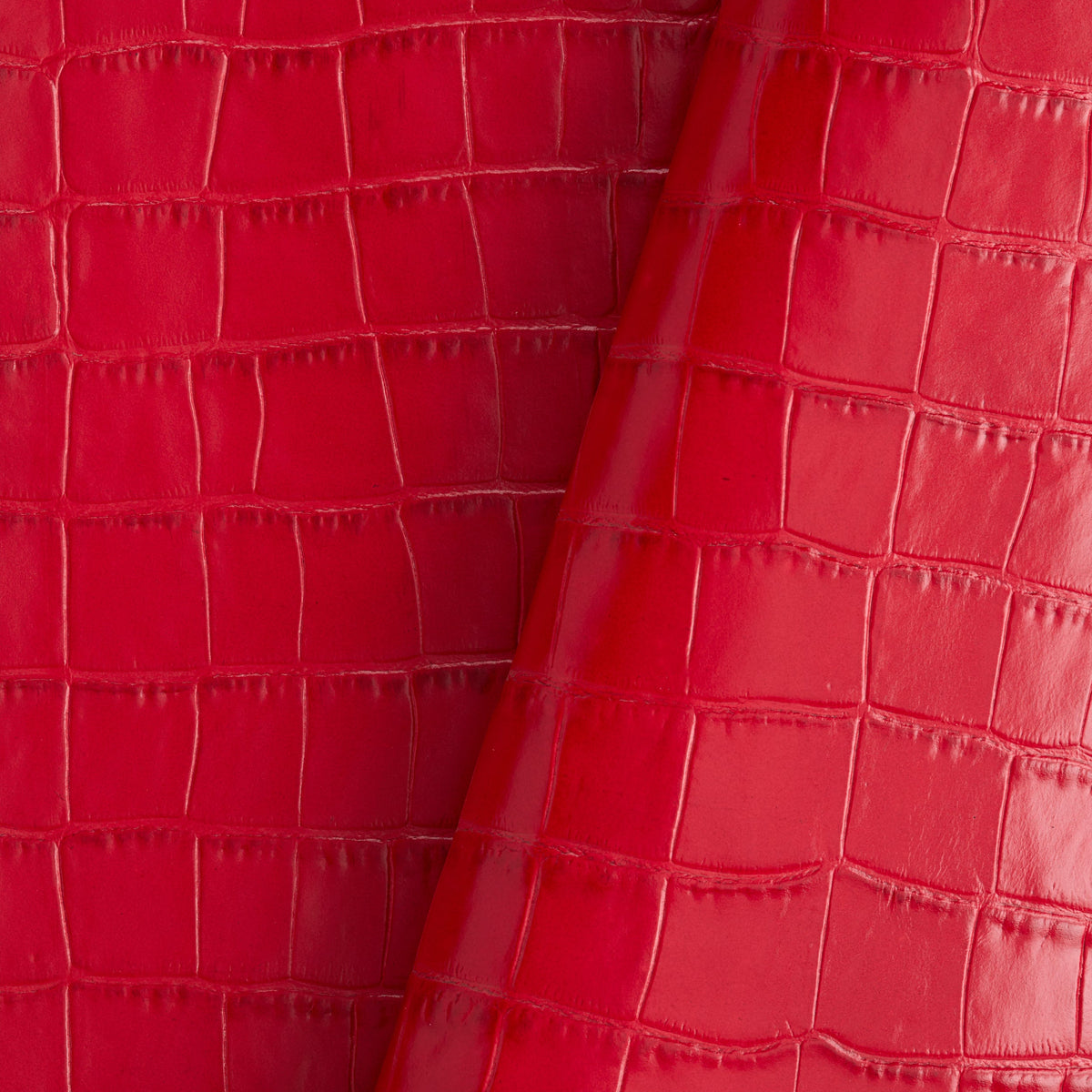 Embossed Gator Print Side — Tandy Leather Europe