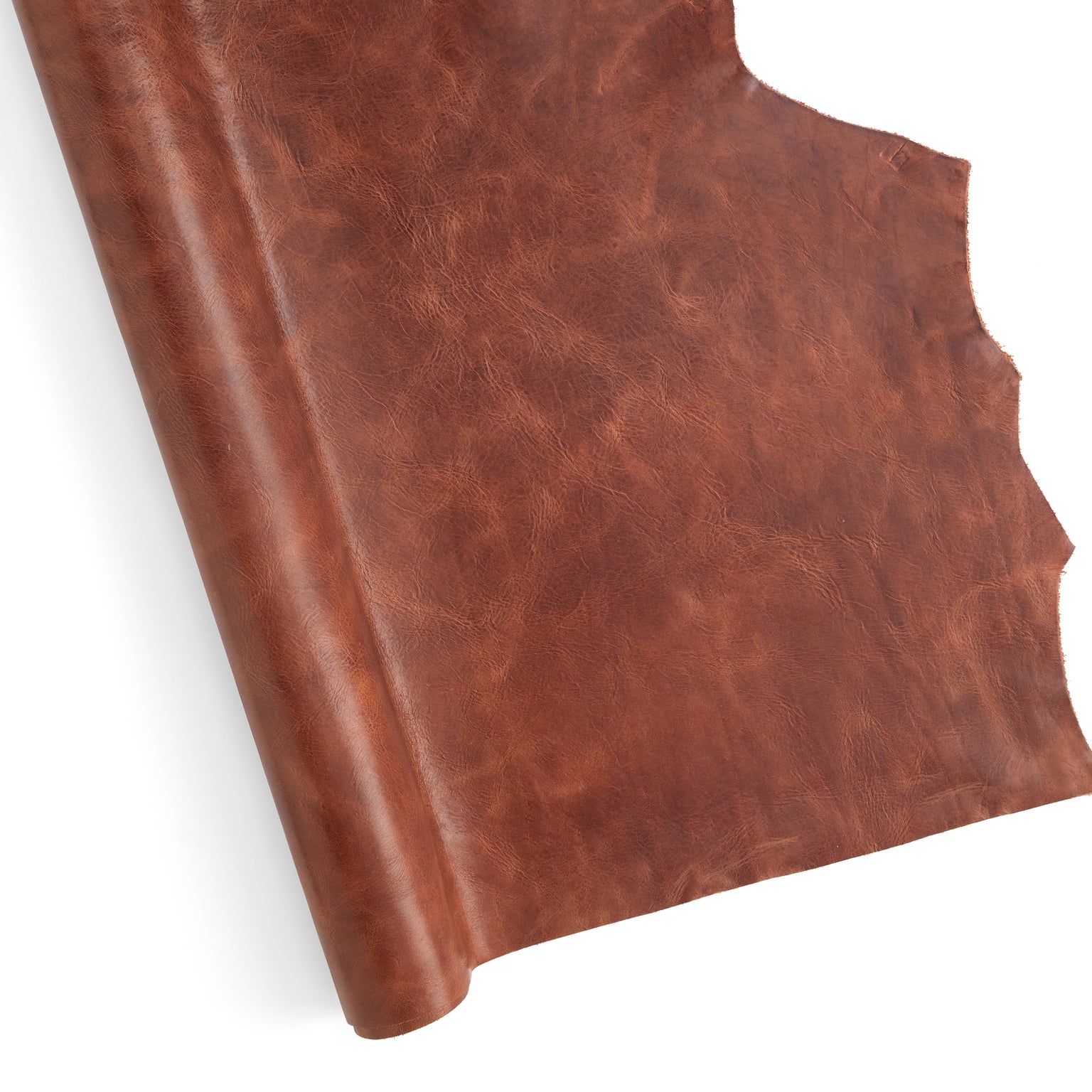 Tandy Leather — Tandy Leather Europe