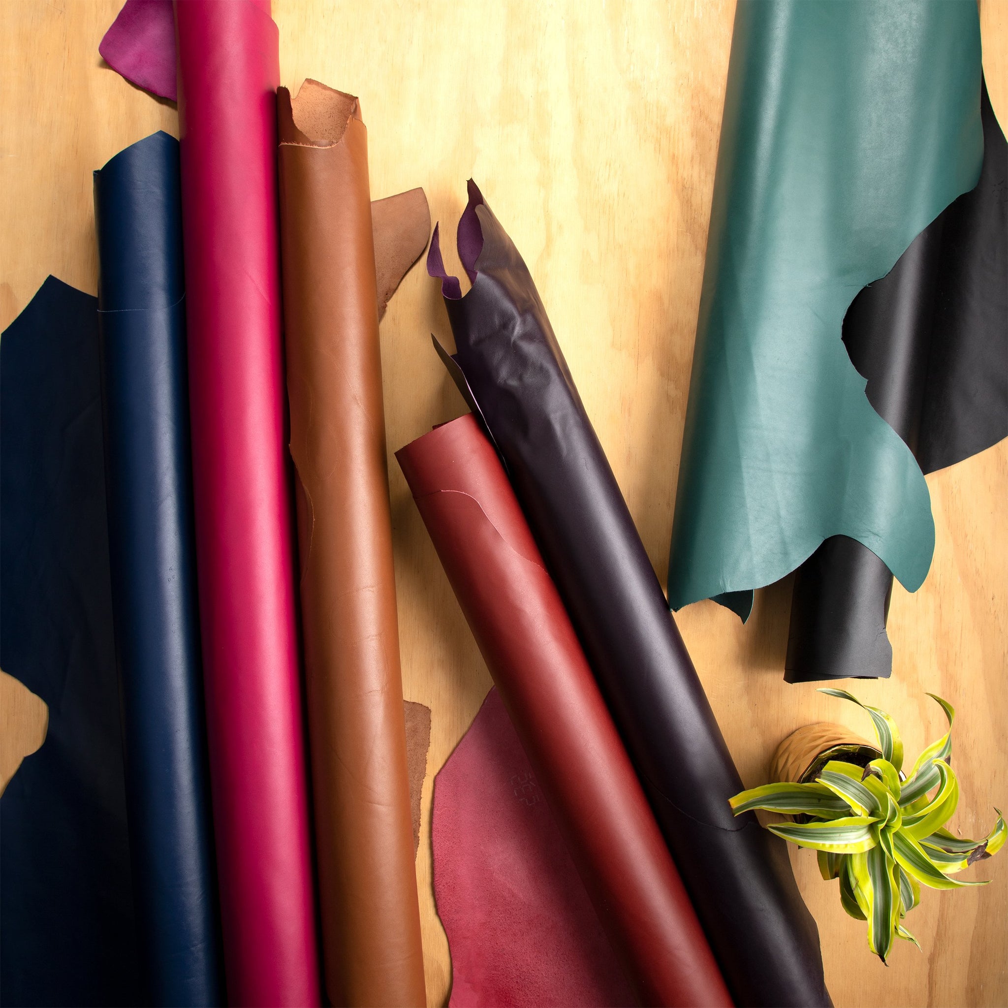 Shop Leather Essentials at Tandy — Tandy Leather Europe